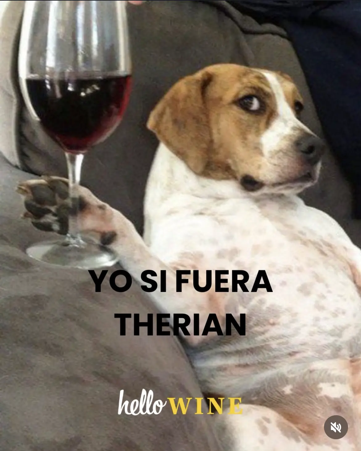 Tienda y club de Vinos y Cervezas | HelloWine